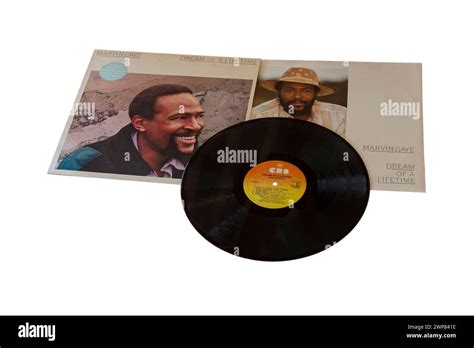Marvin Gaye Dream Of A Lifetime Vinyl Record Album Lp Cover Isolated On