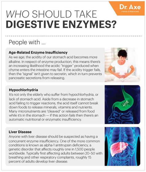 Absorb More Nutrients With Digestive Enzymes Dr Axe