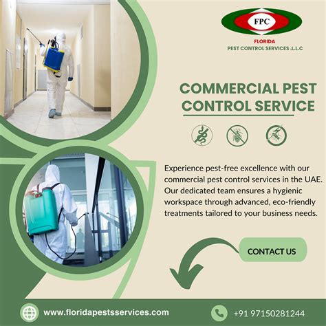Florida Pest Control Pest Control Professionals In Dubai Uae A Comprehensive Guide By