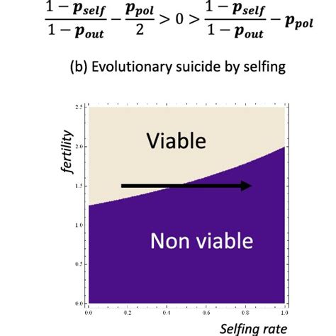 Deterministic Demographic Scenarios And Evolution Of Mating System