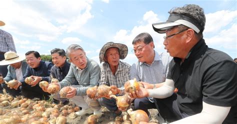 강호동 농협중앙회장 경남 합천·거창서 현장경영