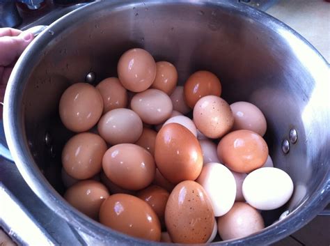 Amazing Pickled Egg Recipe — Lone Feather Farm
