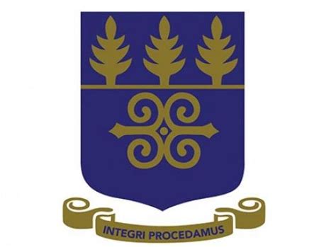 3 Third Generation Activity Theory Engeström 2001 Download