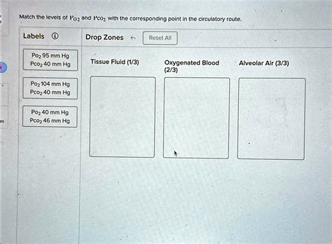 Solved Match The Levels Of Po2 And Pco2 With The Corresponding Point In The Circulatory Route