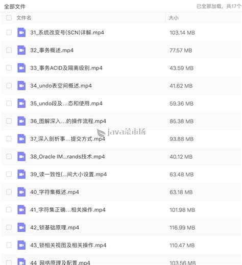 甲骨论 相克军老师 Oracle视频教程下载 45集全 Java菜市场