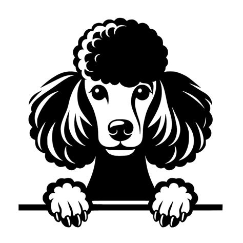 Poodle Svg Vector Dxf Png  Laser Screen Silhouette Unique Poodle