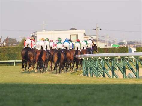 目指せ5万円！複勝転がし【天皇賞・秋】 競馬ニュースなら競馬のおはなし