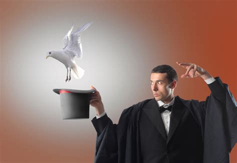 How To Become A Magician Cuban Paradises