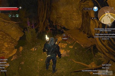 Wiedźmin 3 Krew i Wino Arcymistrzowski rynsztunek Kota Eurogamer pl