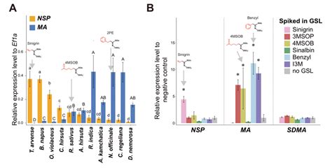 A Relative Expression Levels Of NSP And MA Compared With A Control
