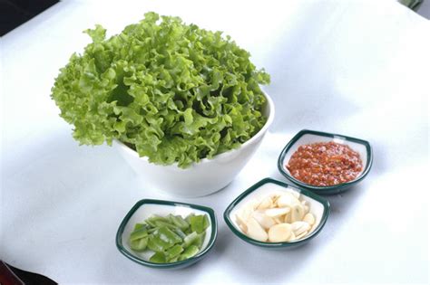 酱菜包图片素材 酱菜包设计素材 酱菜包摄影作品 酱菜包源文件下载 酱菜包图片素材下载 酱菜包背景素材 酱菜包模板下载 搜索中心