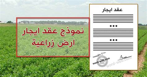 نموذج عقد ايجار ارض زراعية Doc جاهز مجانا