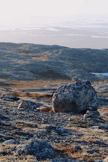 Урания Мария Седых читать книгу в онлайн библиотеке Опубликовано 7 авг 2023 в 14 53