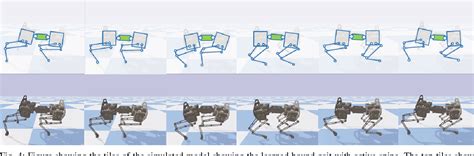 Learning Active Spine Behaviors For Dynamic And Efficient Locomotion In Quadruped Robots