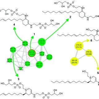 Putative Structures Of Additional Favilipids Identified By Molecular