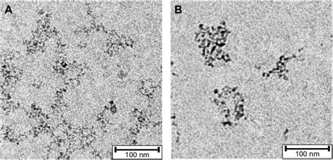 Overview TeM Image Of SPION CMD A And SPION CMD Hyp B Particles