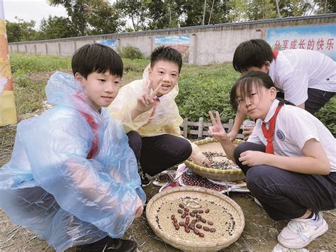 庆丰收促和美 共享喜悦时光中国江苏网