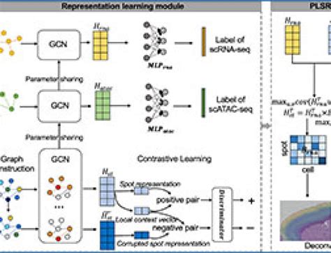 Mtscatac Seq Mitochondrial Single Cell Assay For Transposase