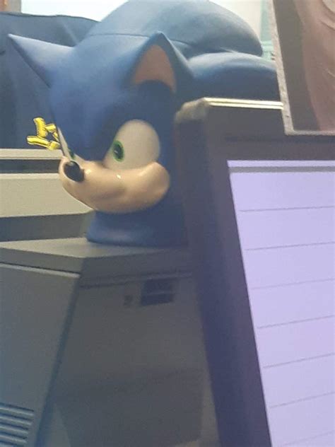 Reseña Sonic La Película Sin Spoilers Sonic The Hedgehog Español Amino