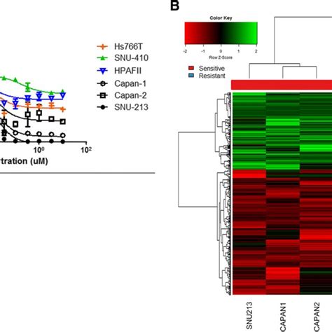 A Cell Proliferation Inhibition Curve Of Triptolide On Pancreatic Cell