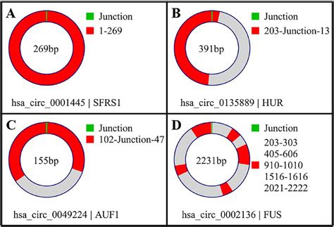 Crmss 又一款预测circrnarbp结合位点的工具 Circrna论坛