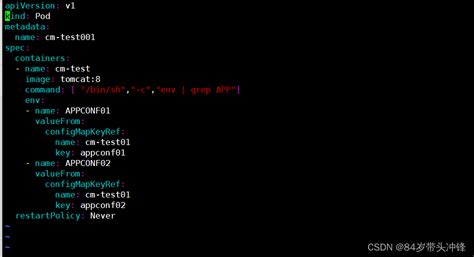 k8s配置管理 secret与configmap kube root ca crt csdn博客