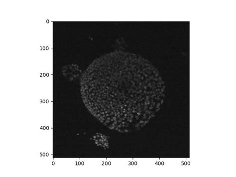 microscopy image analysis with python and napari all in one view