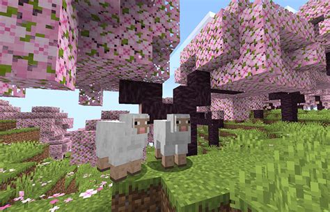 【マイクラ】桜バイオームの探し方！花びらや新ブロックの紹介 マイクラモール