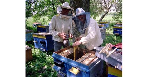 Подредете гнездото за зимуване Български Фермер
