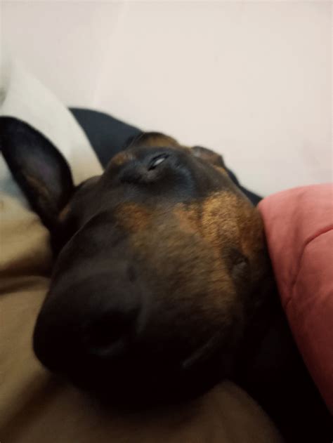 The Mii Rang Lookoutpost Rambien