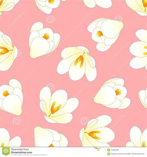 White Crocus Flower On Light Pink Background Vector Illustration Stock