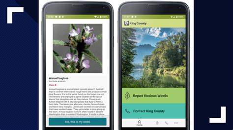 King County And Microsoft Partner On Noxious Weeds App Geekwire