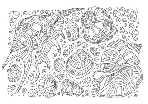 大人の塗り絵｜貝殻（無料印刷） 塗り絵 印刷 大人の塗り絵