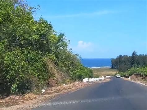 महाराष्ट्रातील सर्वात सुंदर सागरी मार्ग आणि कोकणची शान रस्त्यालगतच्या