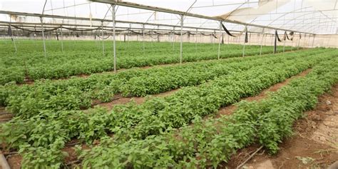 Agriculture Photo Gallery Pif