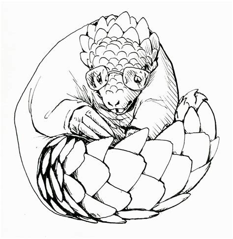 Pangolin Drawing At GetDrawings Free Download