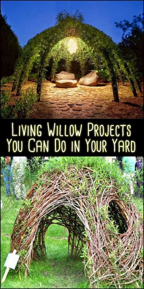 Living Outdoor Willow Structures You Can Grow In Your Backyard Artofit