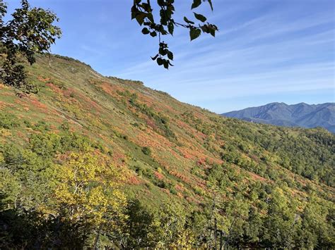 赤岳・小泉岳・白雲岳・北海岳・桂月岳・黒岳 あやのさんの大雪山系・旭岳・トムラウシの活動データ Yamap ヤマップ