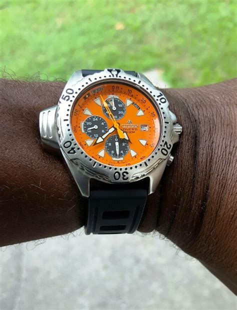 Citizen Promaster Aqualand E The Watch Site