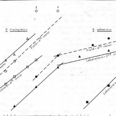 A Comparison Of The Laboratory And Field Efficacy Of Bacillus