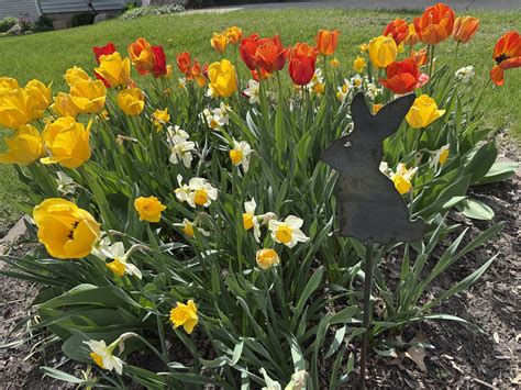 Hotel Pattee Hotel Pattee Added A New Photo