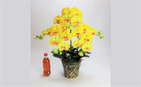 綺麗で丈夫な三河陶器で贈る光触媒胡蝶蘭大輪3本立（緑の陶器×黄色の花） H100 093（愛知県碧南市） ふるさと納税サイト「ふるさとプレミアム」