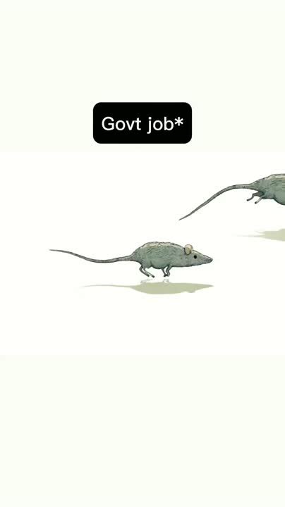 Video Imran Asad On Linkedin Reality Of Government Job 😄😁