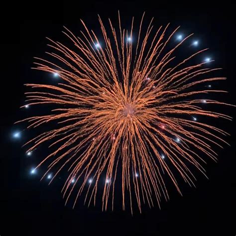 Chinese Professional Display Shells Fireworks Pyrotechnics 6 Inch