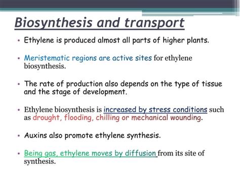 Plant Hormone Part 5 Ethylene Pptx Gardening Home And Garden