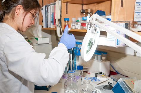 Keeping Abreast Of Breast Cancer Types And Treatments Against