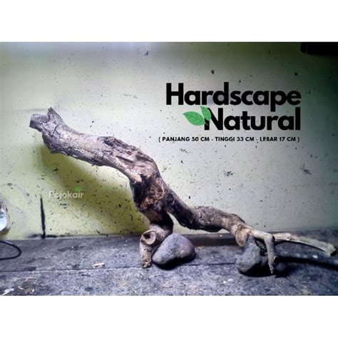Jual Hiasan Aquarium Hardscape Aquascape Tema Natural Shopee Indonesia