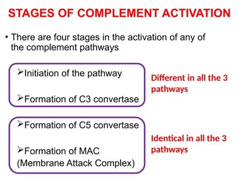 Complement System Mbbs 2023513820160pptx