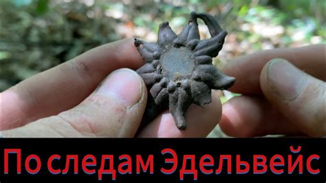 По следам наступавших Эдельвейс Поиск с металлоискателем Youtube