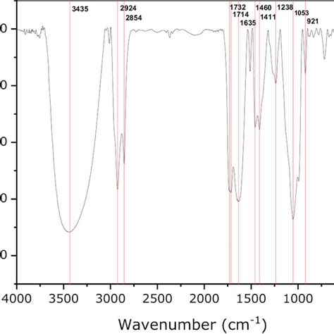 Ftir Spectrum Of Methanol Extract Of M Oleifera Leaves Download Scientific Diagram